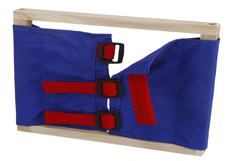 Vr/Frame Buckle – Vyvic Educational Needs