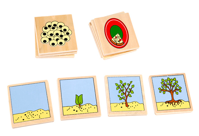 Vr/Logical Sequence – Vyvic Educational Needs