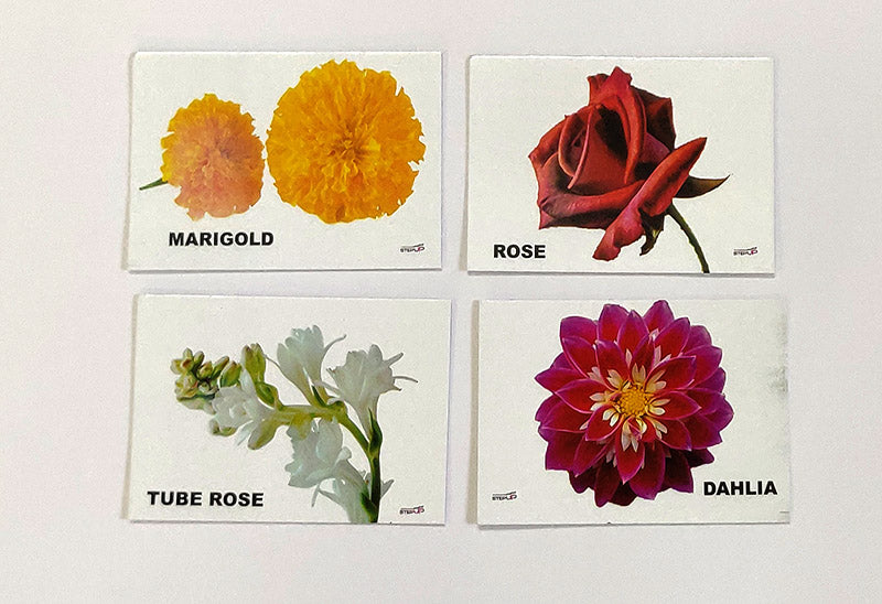 Su/Flash Cards Flowers – Vyvic Educational Needs