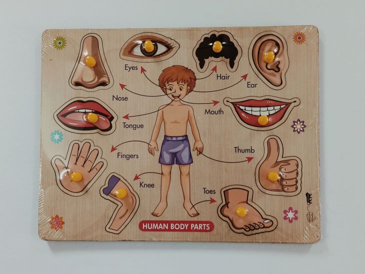 Ht/Parts of the Body inset tray Puzzle - Big – Vyvic Educational Needs