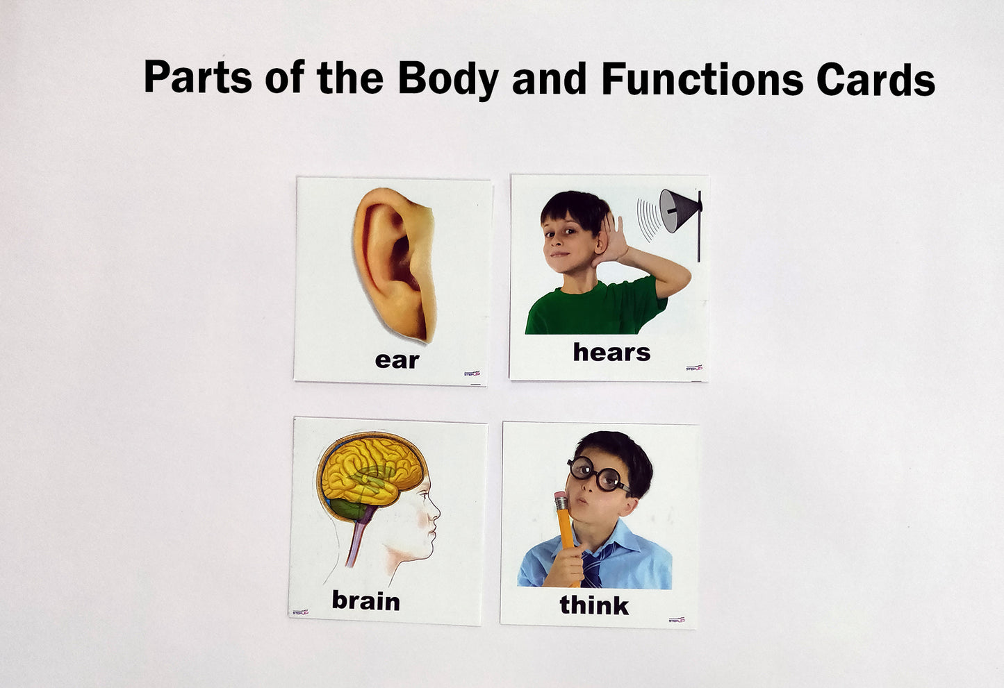 Parts Of The Body And Function Cards – Vyvic Educational Needs