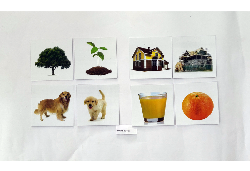 After And Before cards – Vyvic Educational Needs