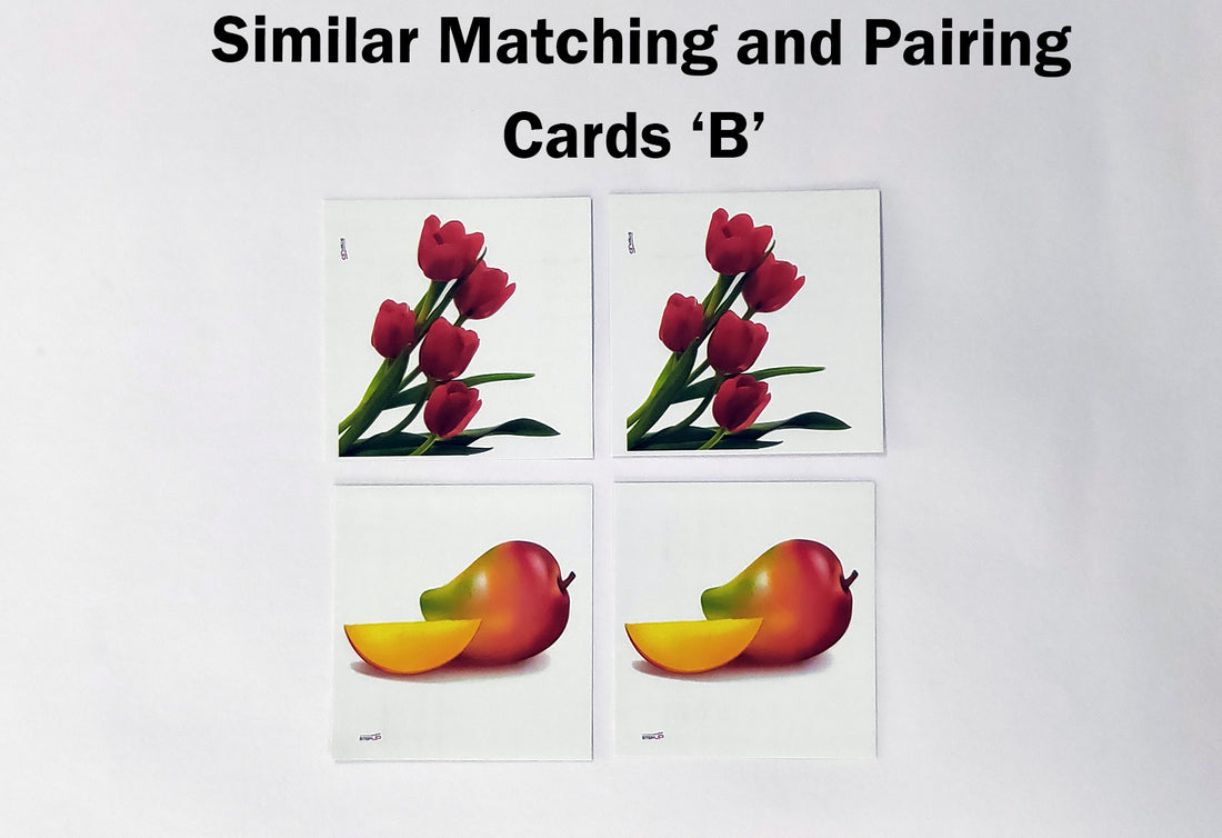 Matching And Pairing Cards Set B / Identical Pairing set B – Vyvic Educational Needs
