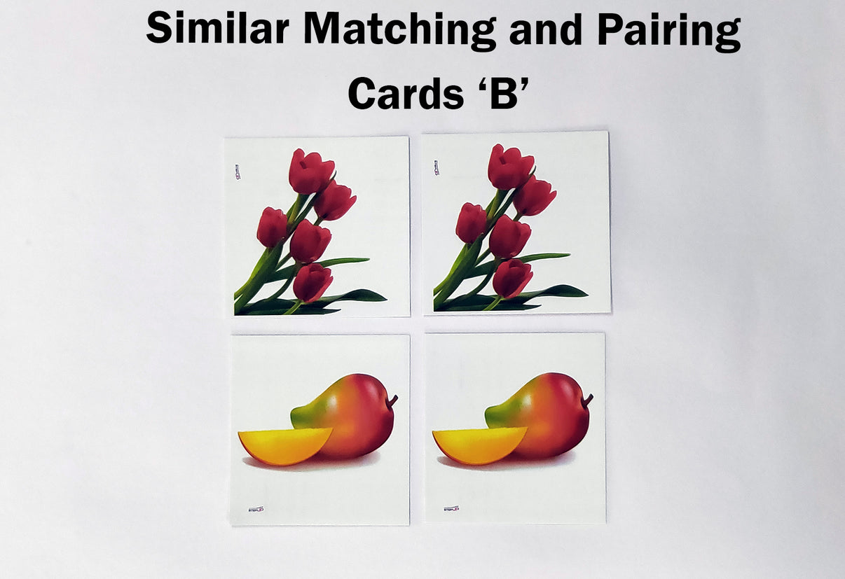 Matching And Pairing Cards Set B / Identical Pairing set B – Vyvic ...