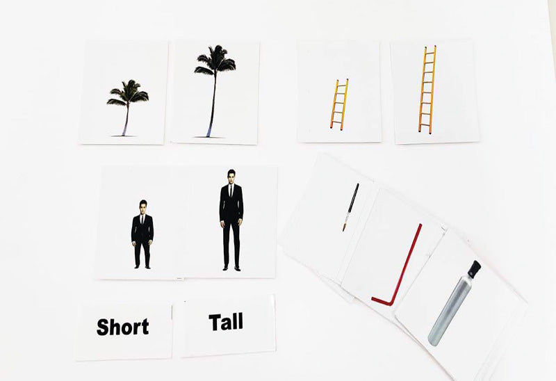 Flash Cards Tall And Short – Vyvic Educational Needs