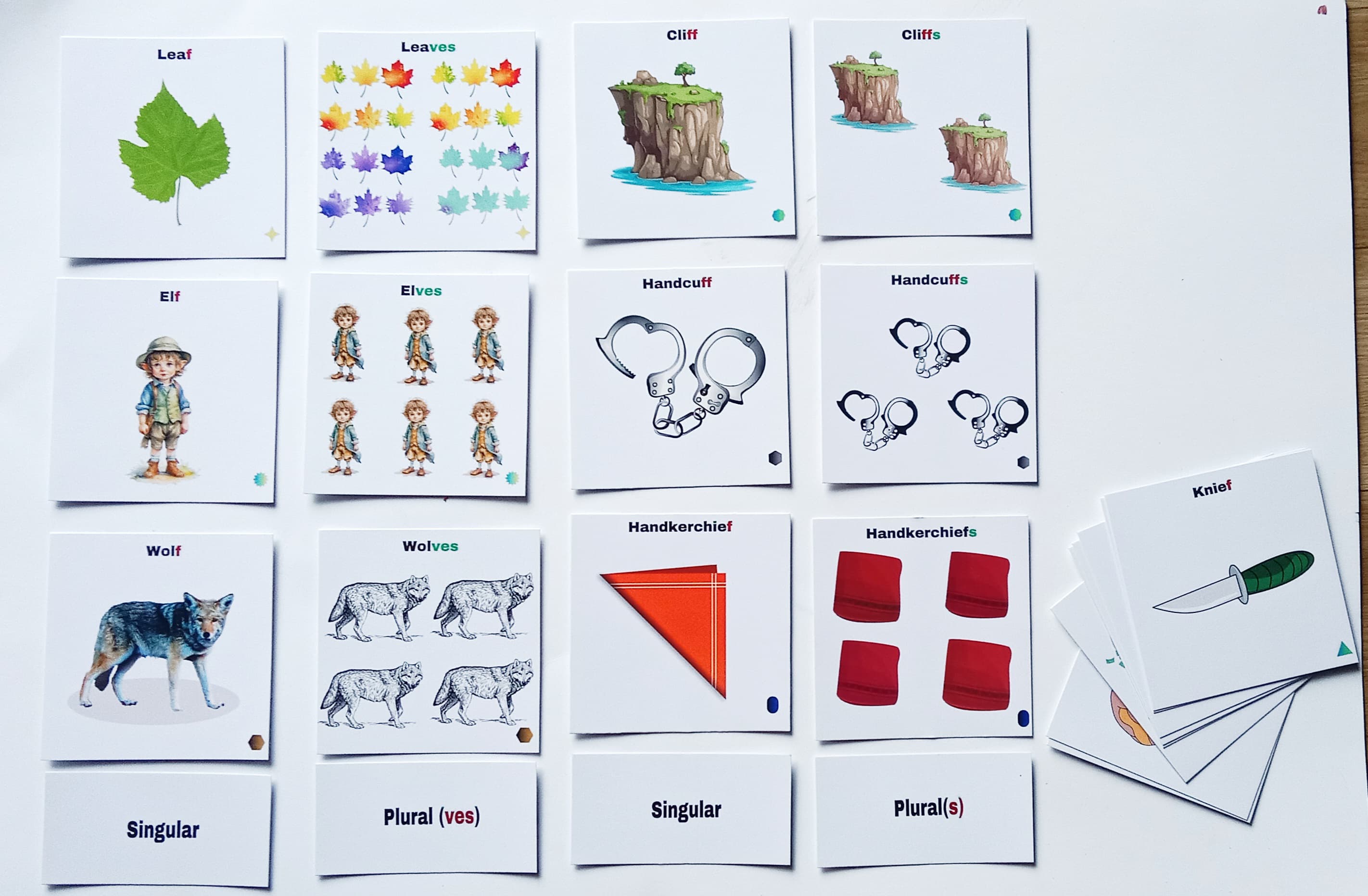 Vy/Singular and Plurals Elaborated Set – Vyvic Educational Needs